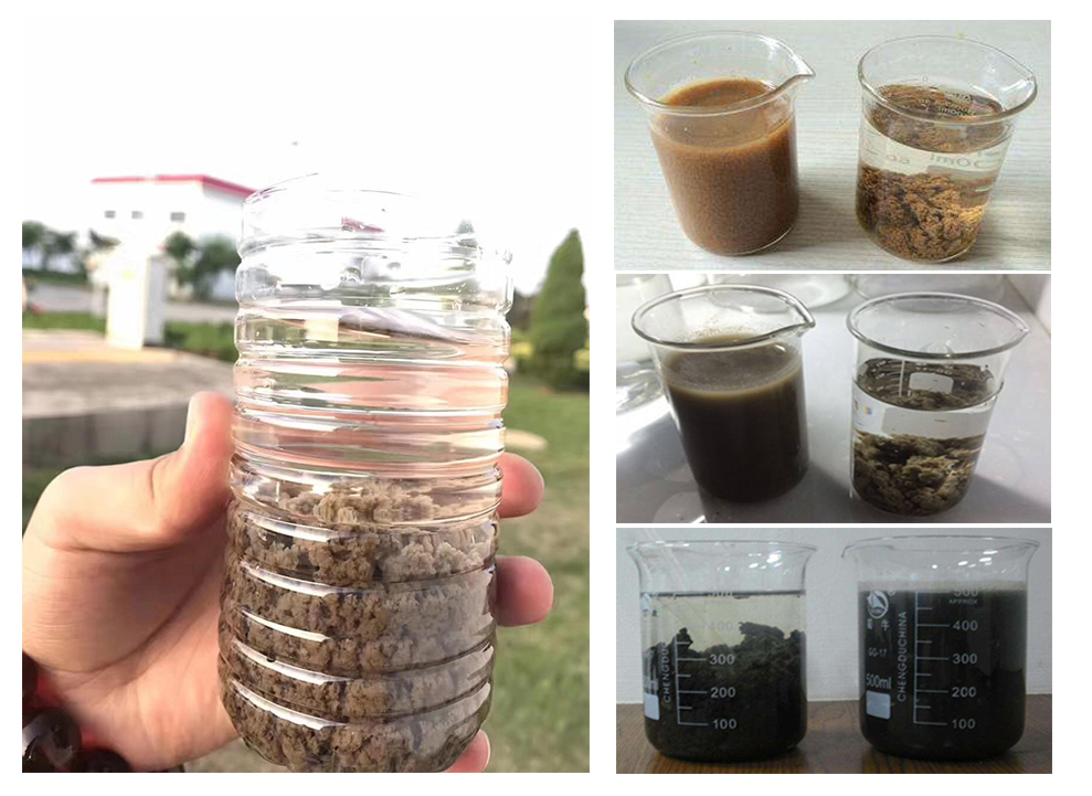 BOEEP Guides You to Know Sludge - BOEEP